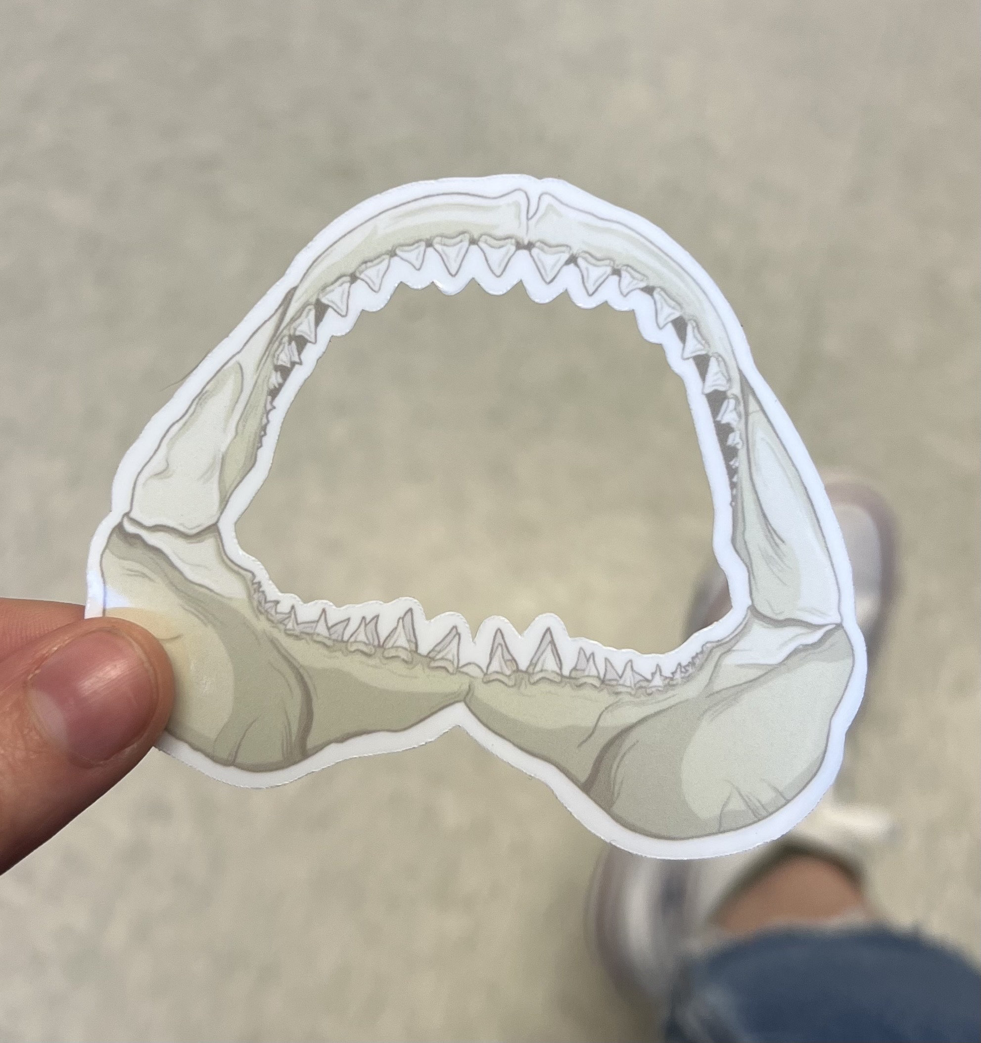 Shark Jaw Laminated Vinyl Sticker Hand Made Hand Drawn - Etsy