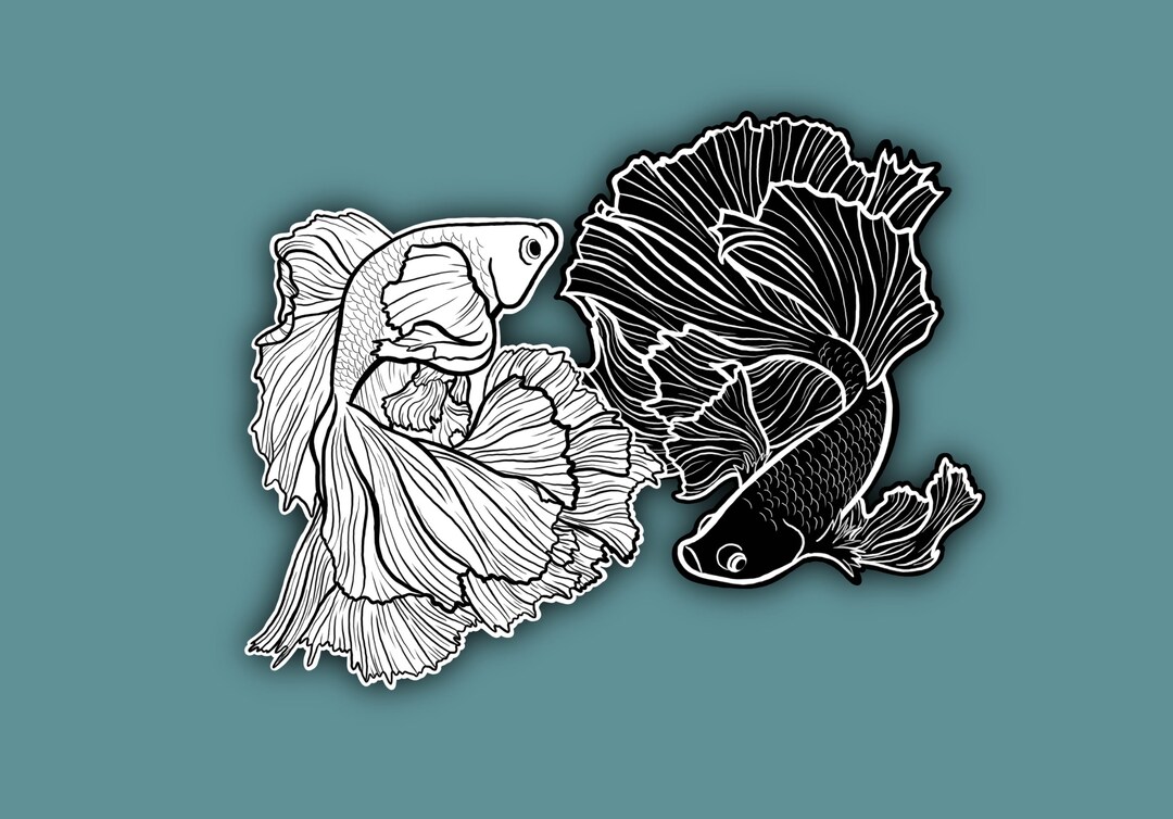 Yin and Yang Betta Fish Laminated Vinyl Sticker Hand Made Hand Drawn - Etsy
