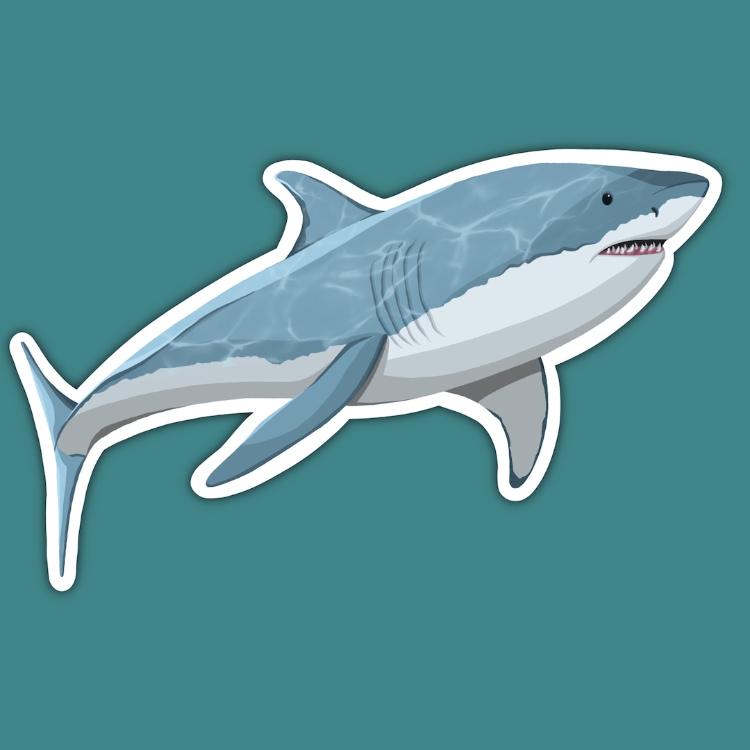 Swimming Shark - Laminated Vinyl Sticker - Hand Made - Hand Drawn - Etsy