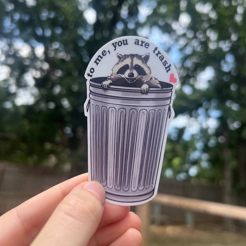 Trash Panda Stickers - Etsy