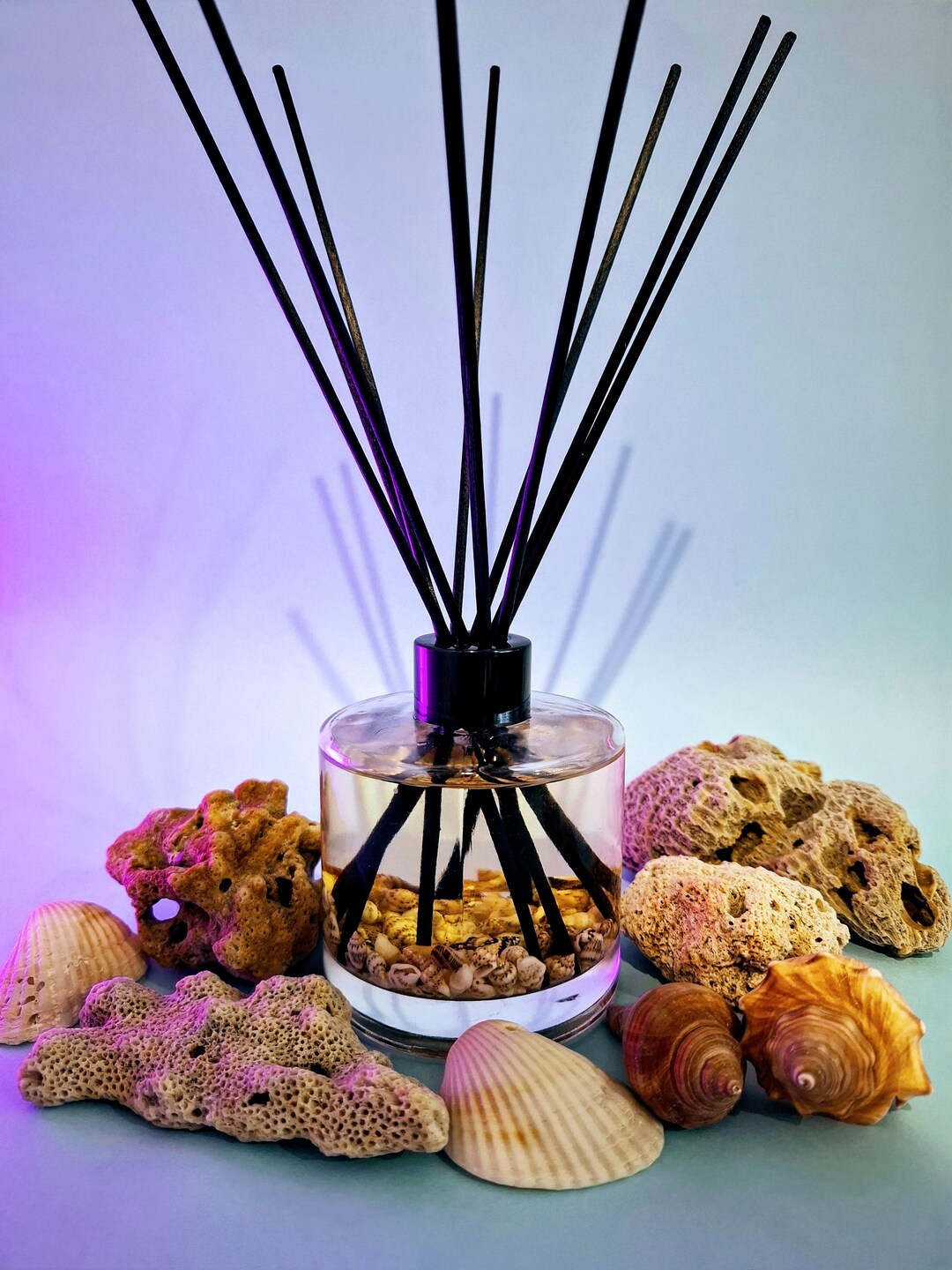 Watigos Beach Sea Shell Reed Diffuser 200ml - Etsy Australia