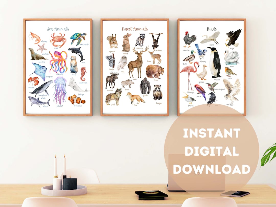 Set of 3 Animals Educational Poster (sea, Forest, Birds), Beautiful ...