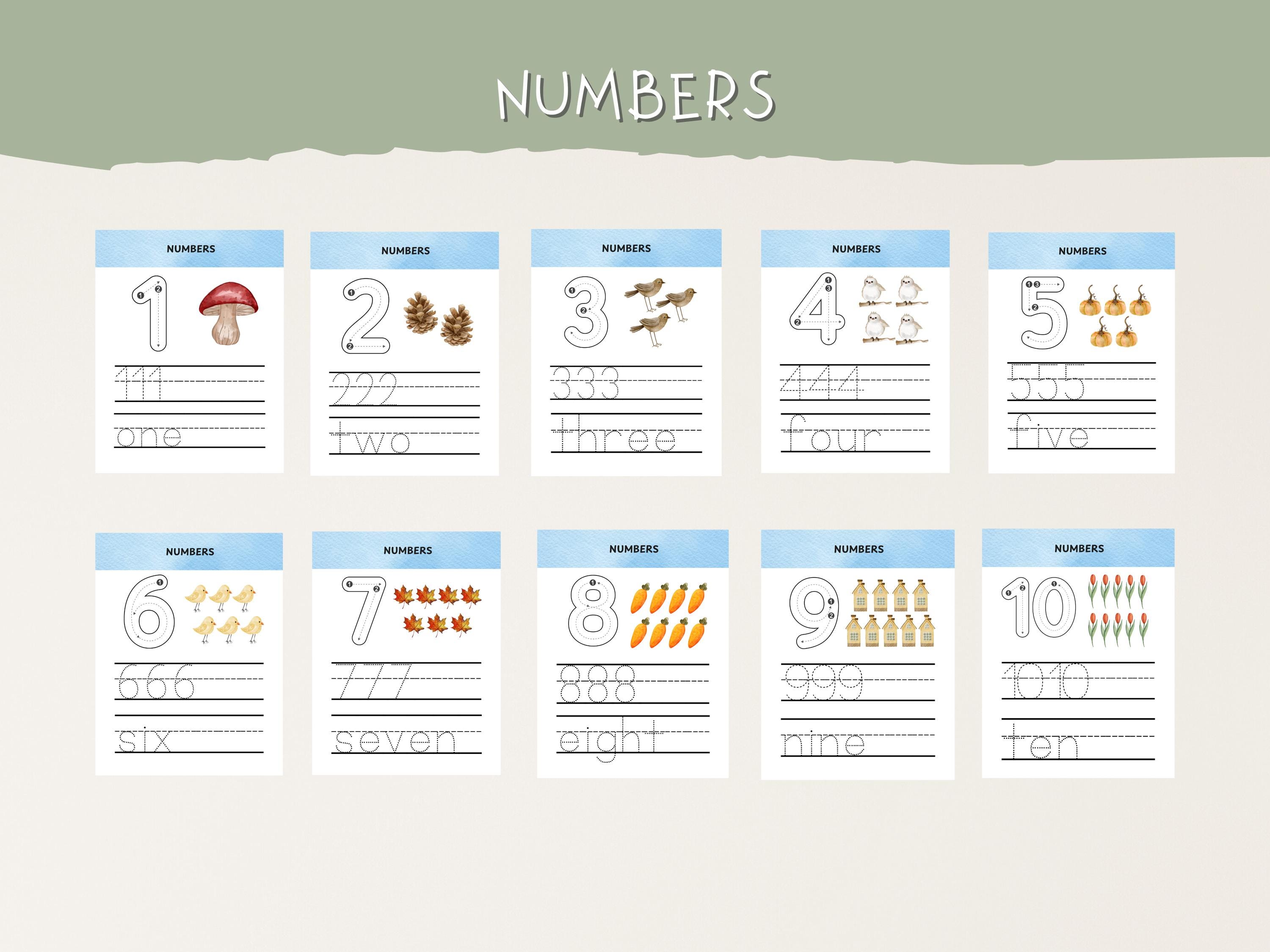 Preschool Morning Menu Printable Homeschool Preschool Worksheets ...