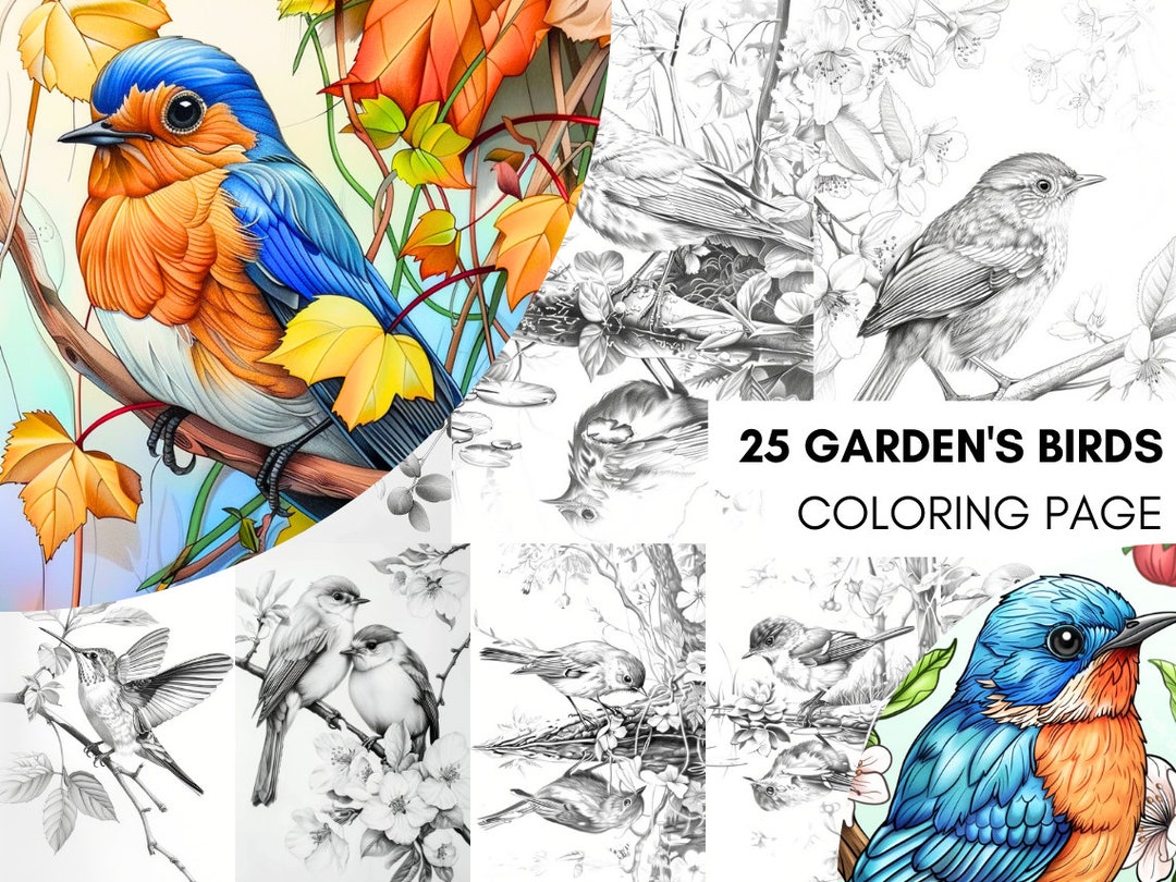 25 Coloring Book of Birds Coloring Book for Kids Adults, Fairytale ...