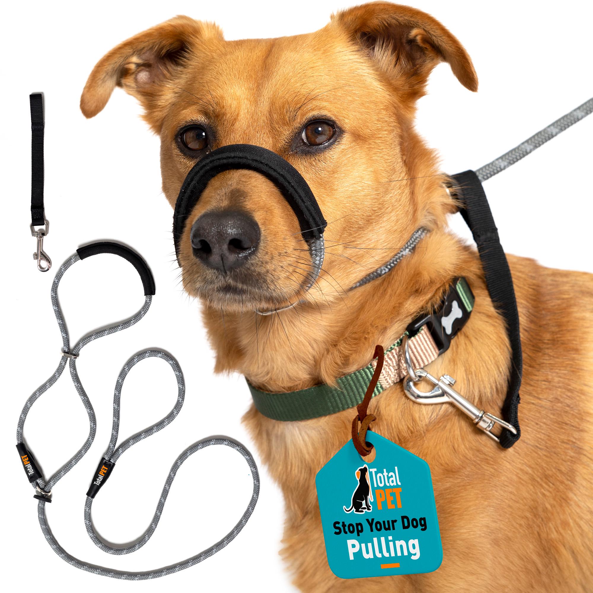 Rope Figure of 8 Dog Lead Halti Head Collar With Nose Padding and ...