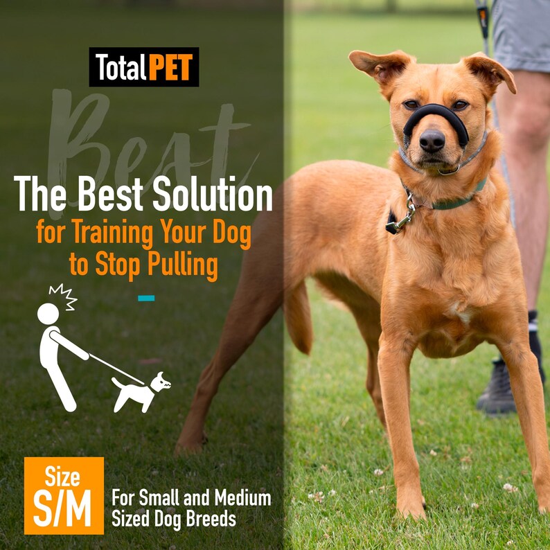 Rope Figure of 8 Dog Lead Halti Head Collar With Nose Padding and ...