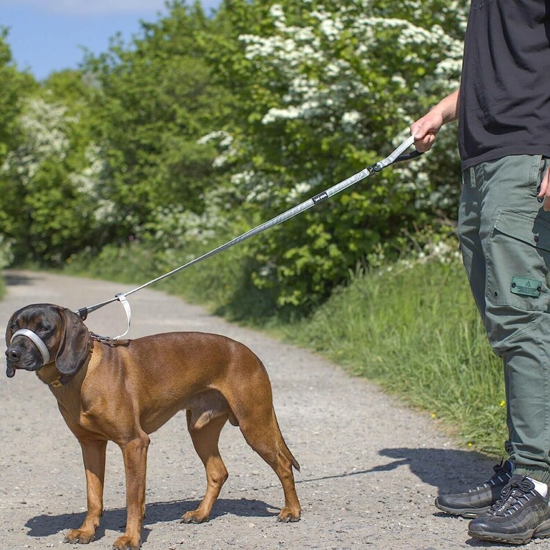 Total Pet Anti Tangle Flat Figure of 8 Dog Lead Halti Head Collar W ...