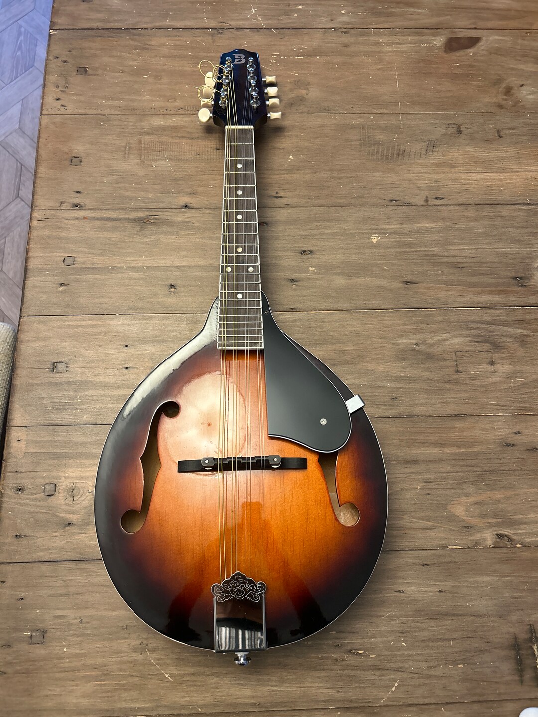 Mandolin mandolin Bag mandolin Song Book - Etsy