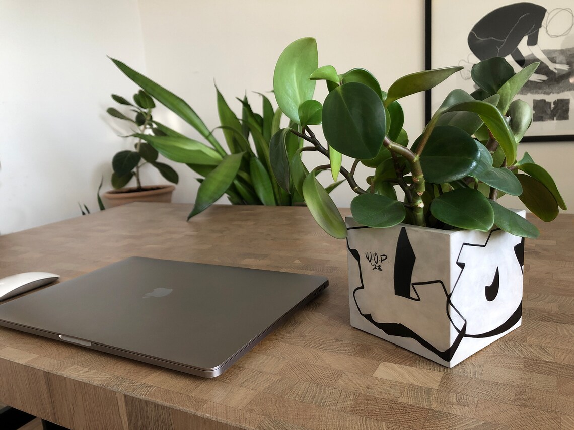 Graffiti Planter Custom Planter Cactus and Succulent - Etsy