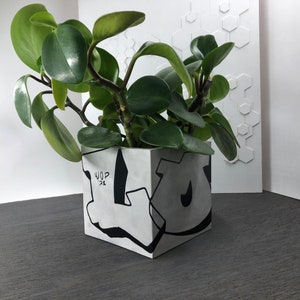 Graffiti Planter Custom Planter Cactus and Succulent - Etsy