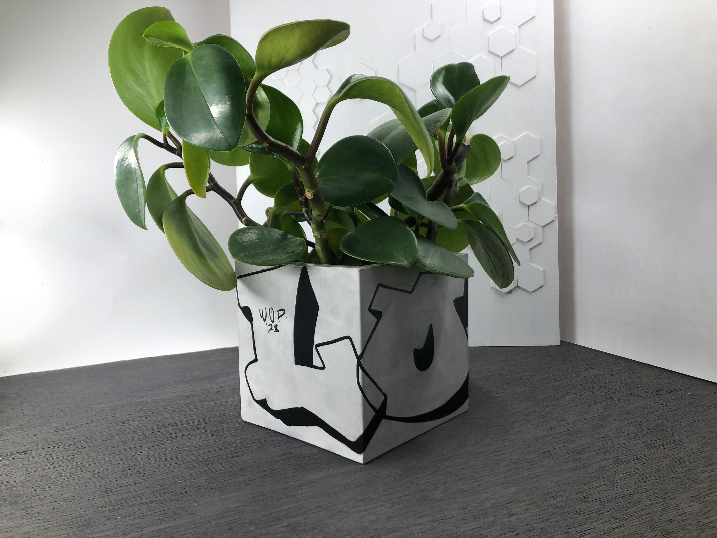 Graffiti Planter Custom Planter Cactus and Succulent - Etsy