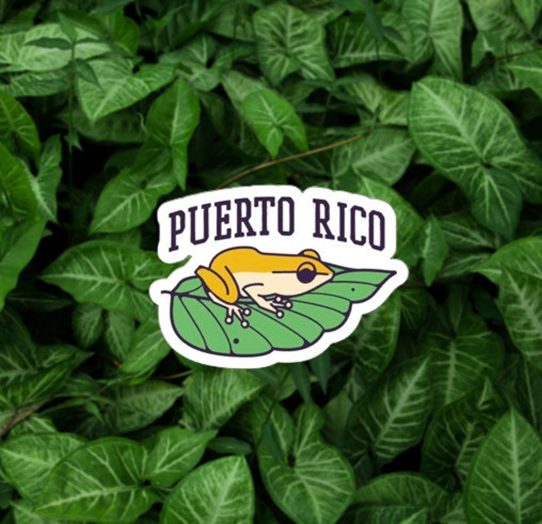 Coqui Leaf Sticker, Puerto Rican Decal, Tropical Frog Design, Car ...