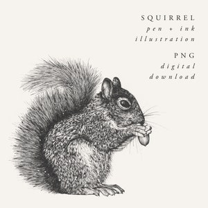 Squirrel Illustration Digital Download, Animal Clipart, Woodland Animal ...