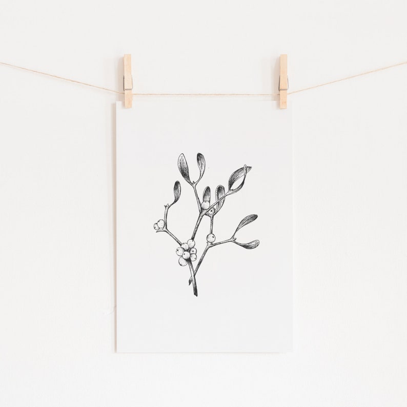 Mistletoe Botanical Illustration Digital Download, Christmas ...