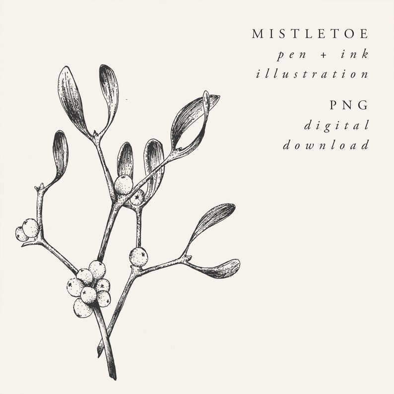 Mistletoe Botanical Illustration Digital Download, Christmas ...