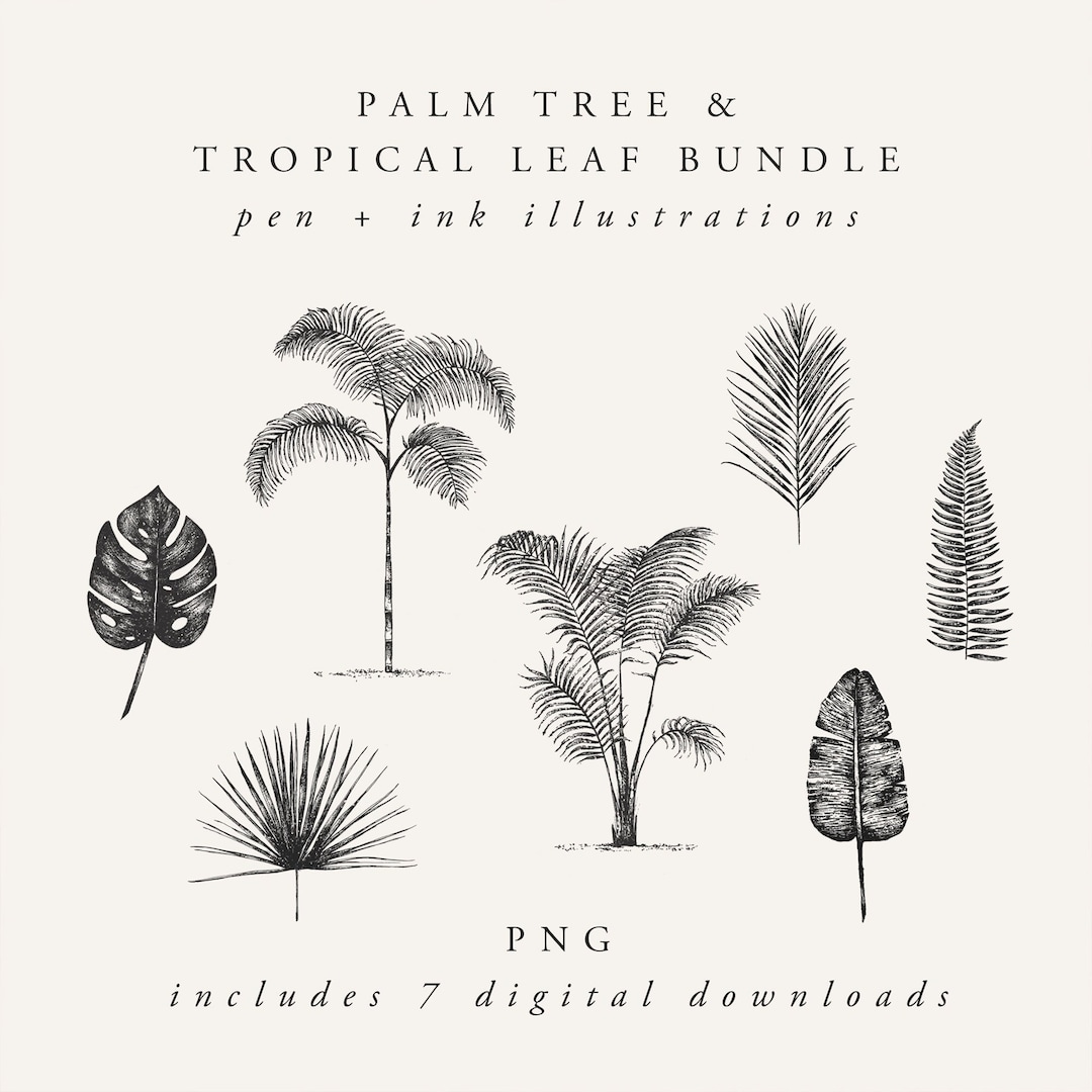 Palm Tree & Tropical Leaves Illustration Bundle Digital Download ...