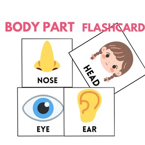 Body Part Flashcard|montessori Flashcard|educational Montessori ...