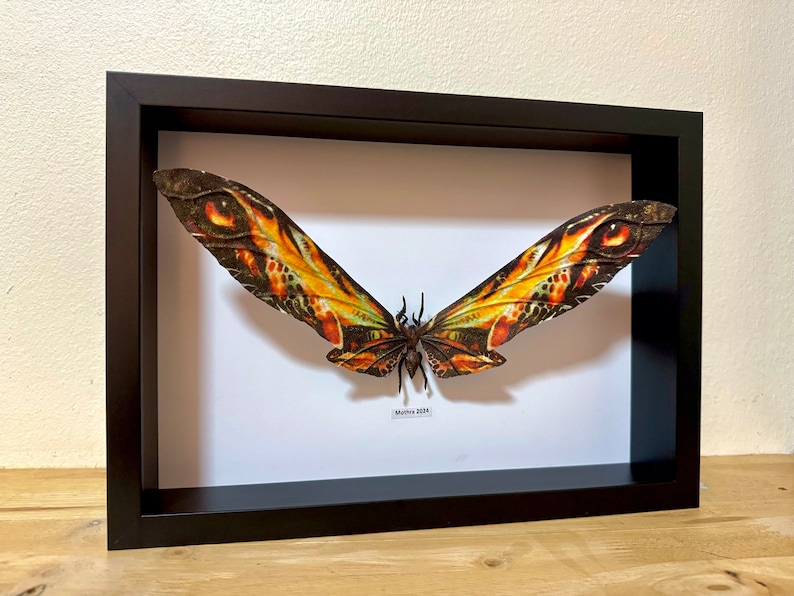 Mothra Kaiju Taxidermy Mothra 2024 With Golden Dust in Frame. Queen of ...