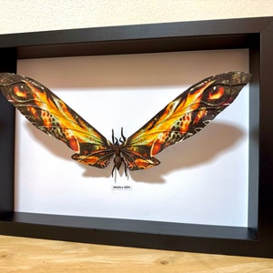 Mothra Kaiju Taxidermy Mothra 2024 With Golden Dust in Frame. Queen of ...