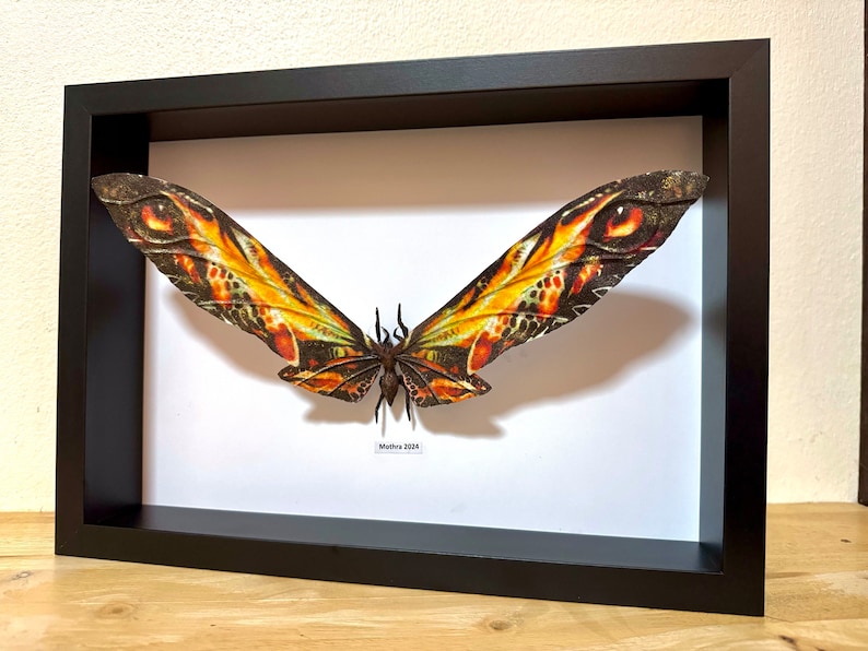 Mothra Kaiju Taxidermy Mothra 2024 With Golden Dust in Frame. Queen of ...