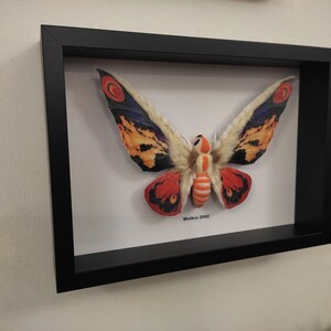 Mothra Kaiju GMK Mothra Taxidermy Crafts Mothra 2002 GMK in Frame. - Etsy