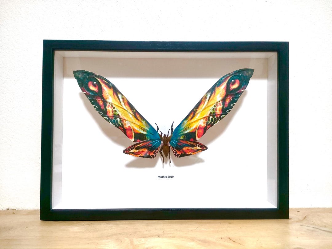 Mothra Kaiju Taxidermy Mothra 2019 With Blue Dust in Frame. Queen of ...