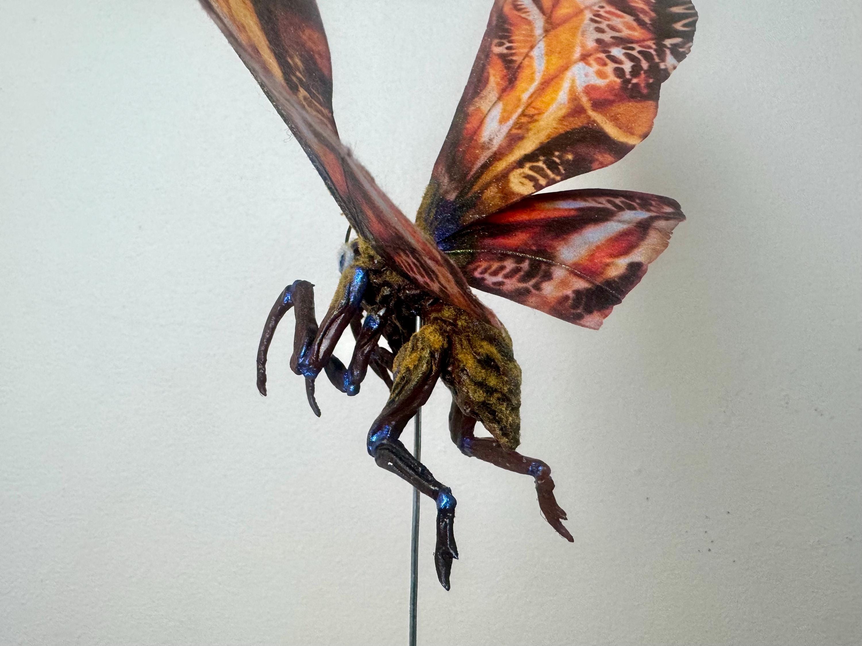 Mothra 2024 Godzilla X Kong the New Empire Realistic Statue. Titanus ...