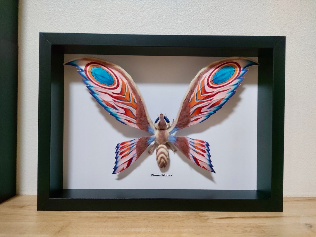 Eternal Mothra Art, Rebirth of Mothra 1998, Framed Taxidermy - Etsy