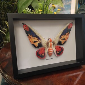 Mothra Kaiju GMK Mothra Taxidermy Crafts Mothra 2002 GMK in Frame. - Etsy