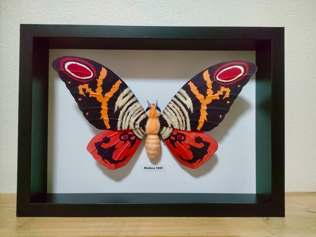 Mothra Kaiju Taxidermy Crafts Mothra 1961 in Frame. - Etsy