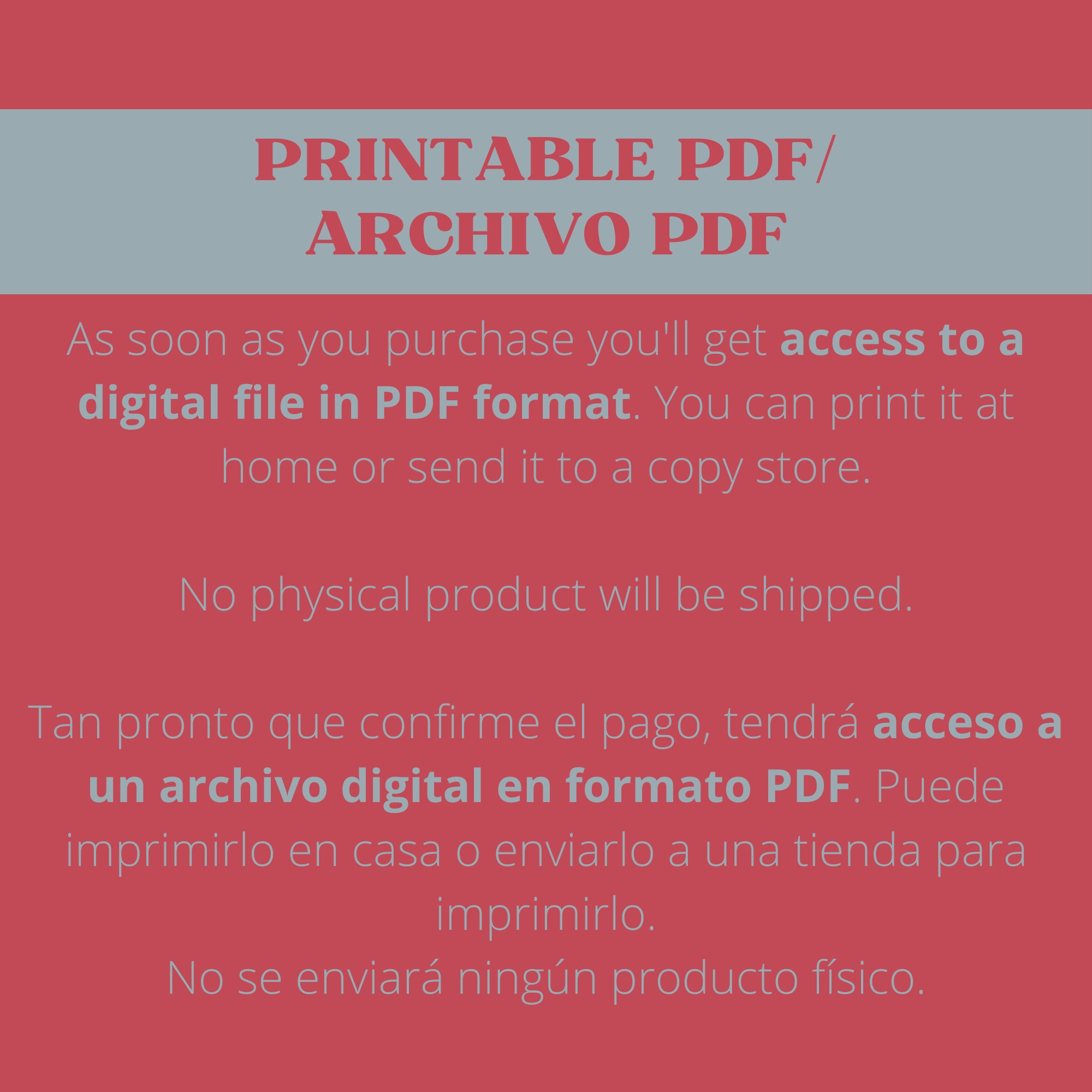 Bilingual Bundle, Armor of God Activities & Crafts, Combined Age Bible ...