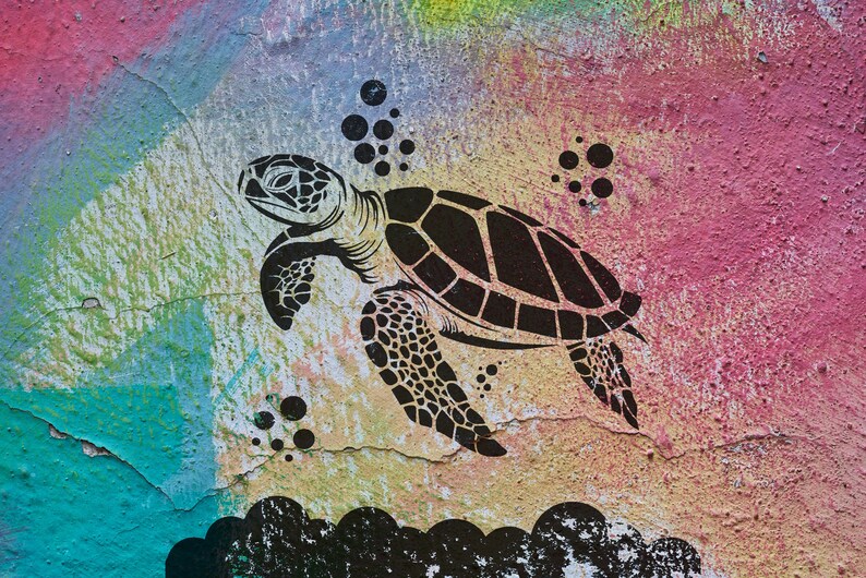 Turtle Stencils Reusable Perfect for DIY Art Projects and Coastal Home ...