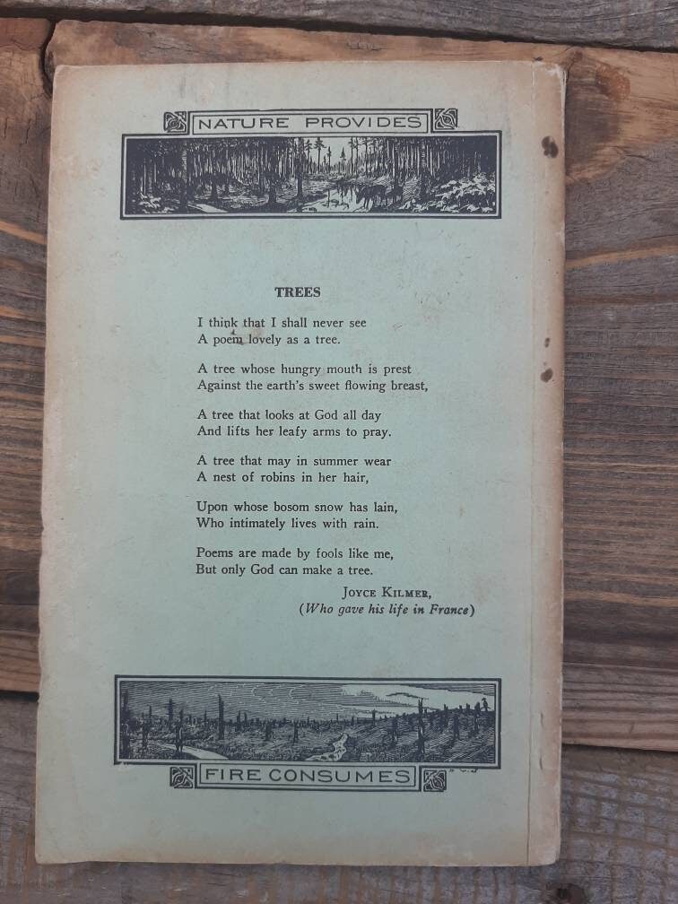 Forest Trees of Oklahoma How to Know Them October 1975 a - Etsy
