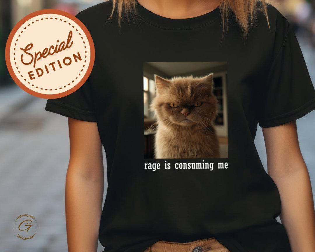 Funny Grumpy Cat T-shirt, Hilarious Cat Lover Shirt, Angry Cat Print ...