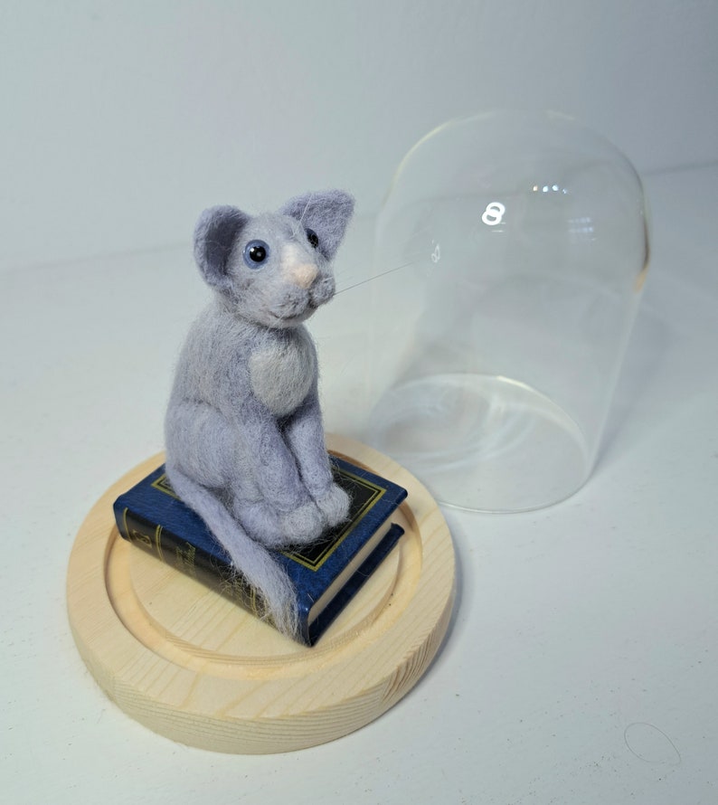 René Descartes - Discourse on the Method. Small Felted Grey Cat Sat on ...