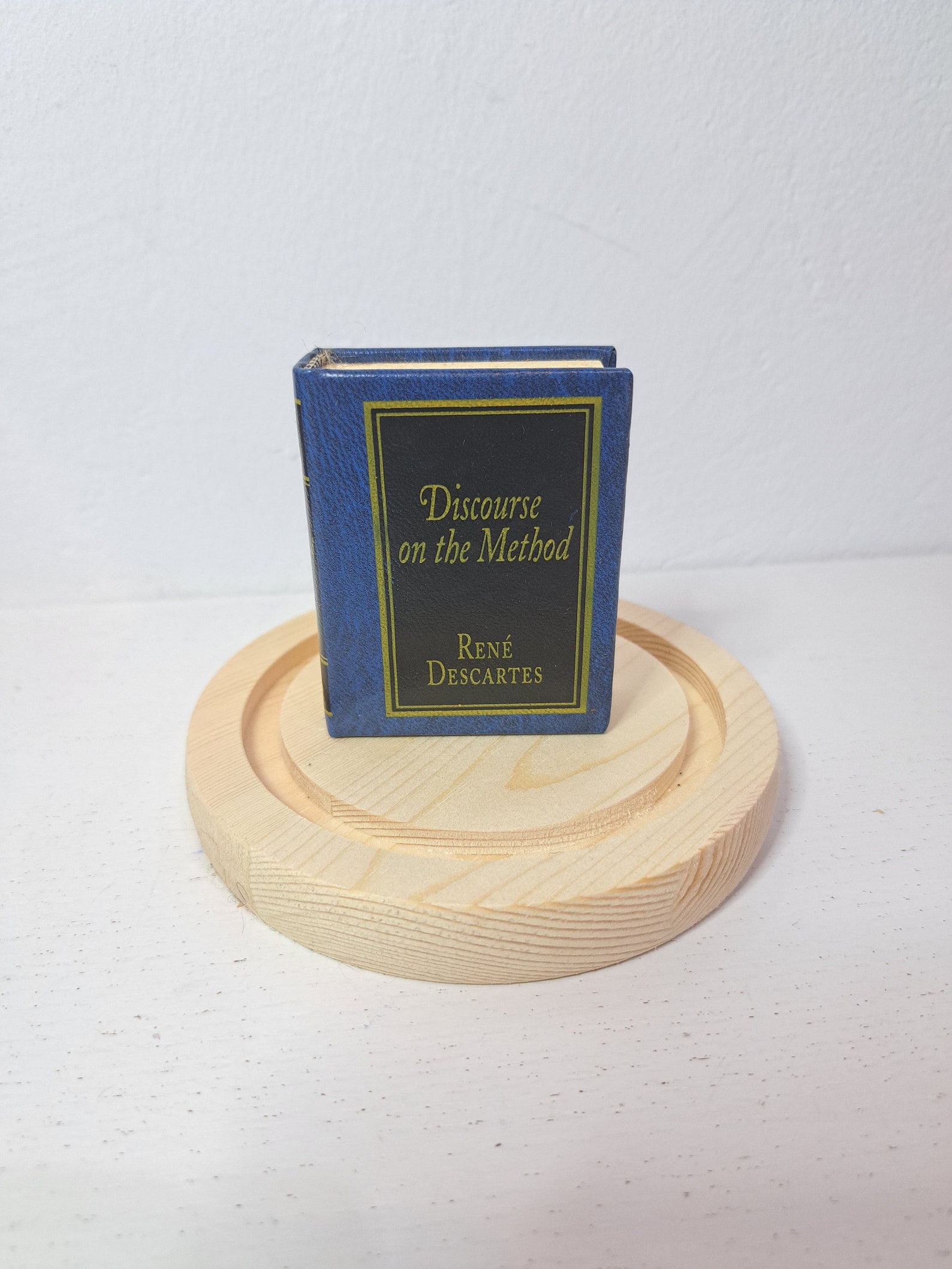 René Descartes - Discourse on the Method. Small Felted Grey Cat Sat on ...