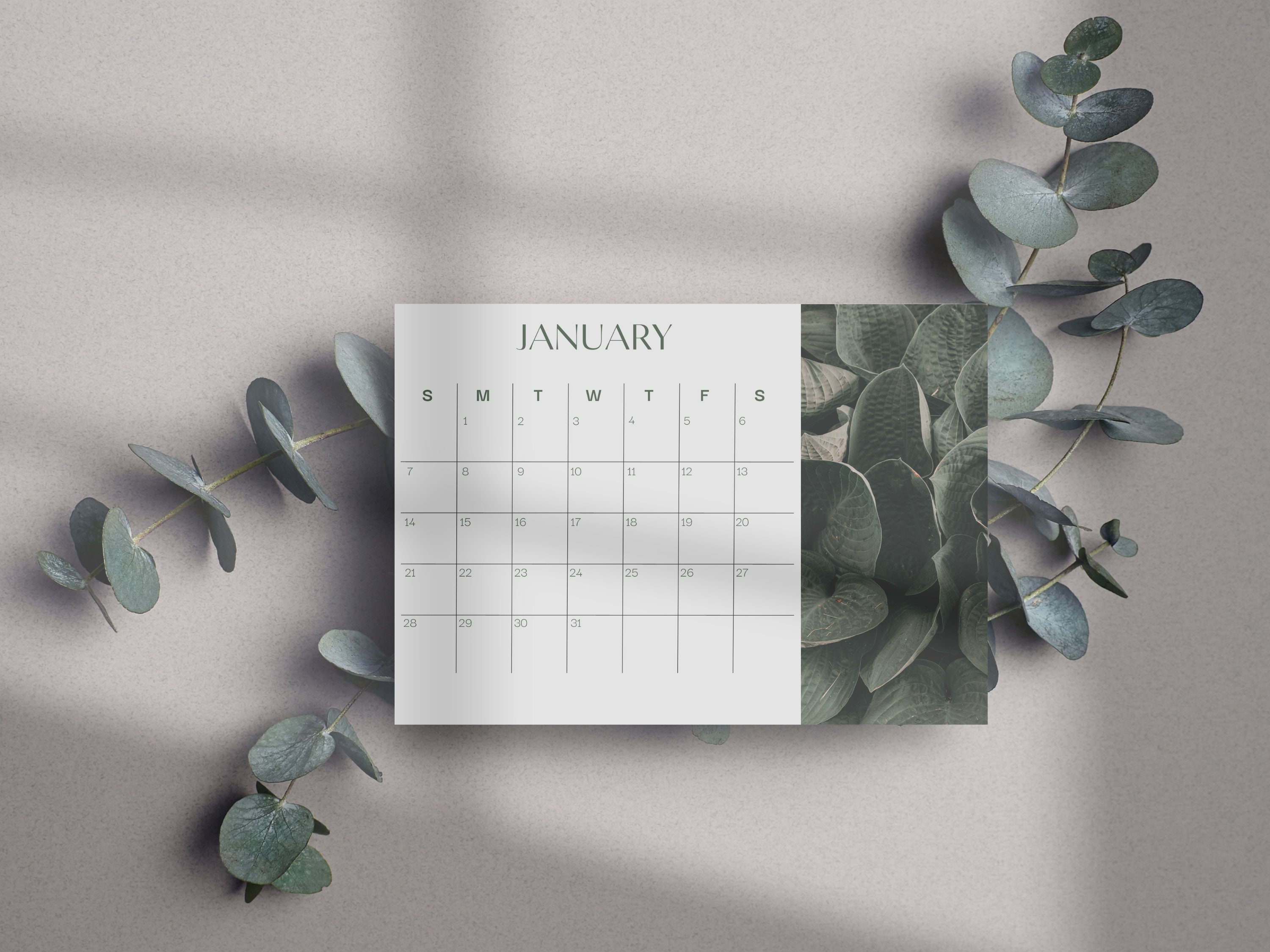 Plant Inspired Printable Calendar 2024 | Fully Editable Monthly Planner ...