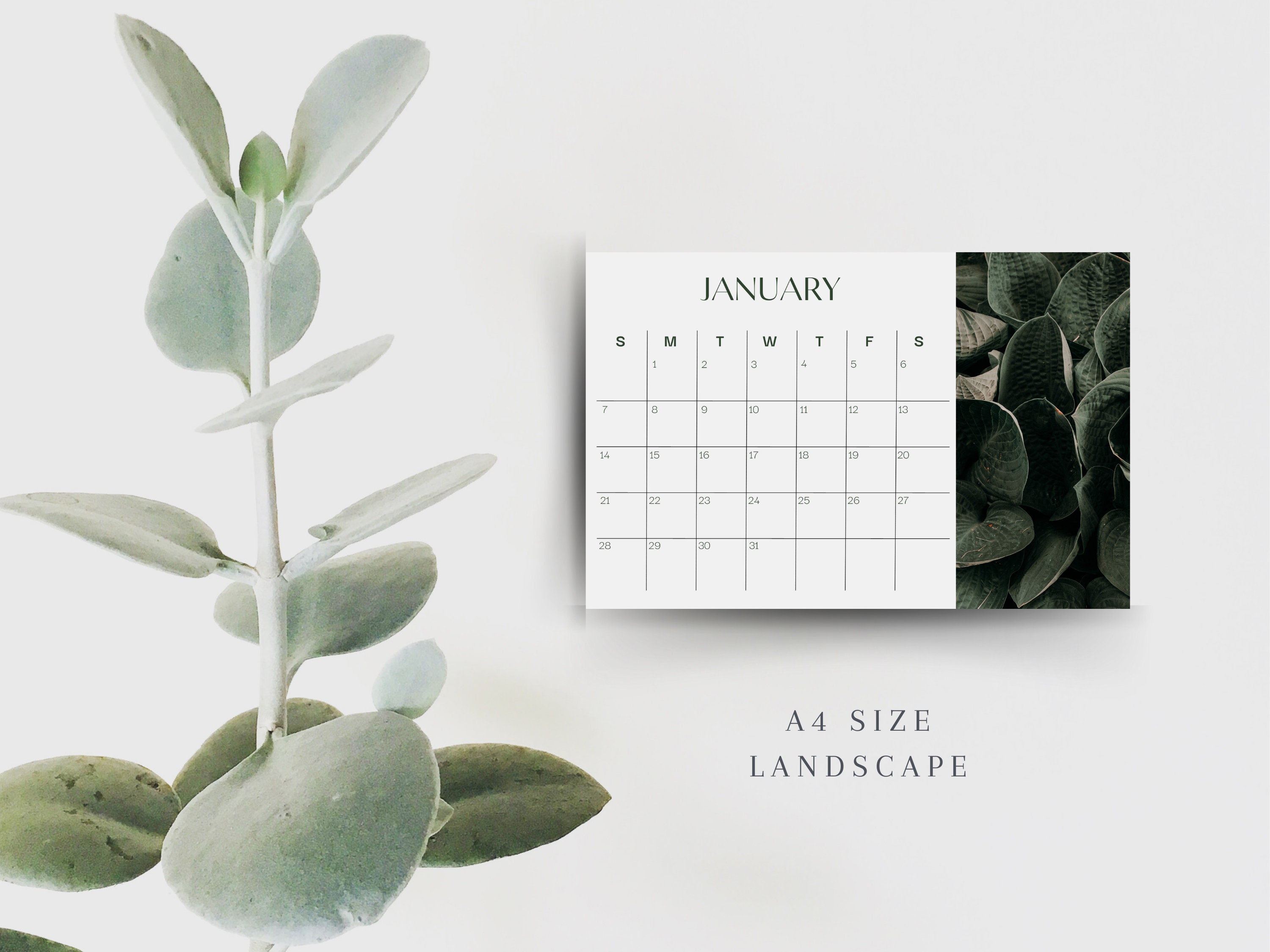 Plant Inspired Printable Calendar 2024 | Fully Editable Monthly Planner ...