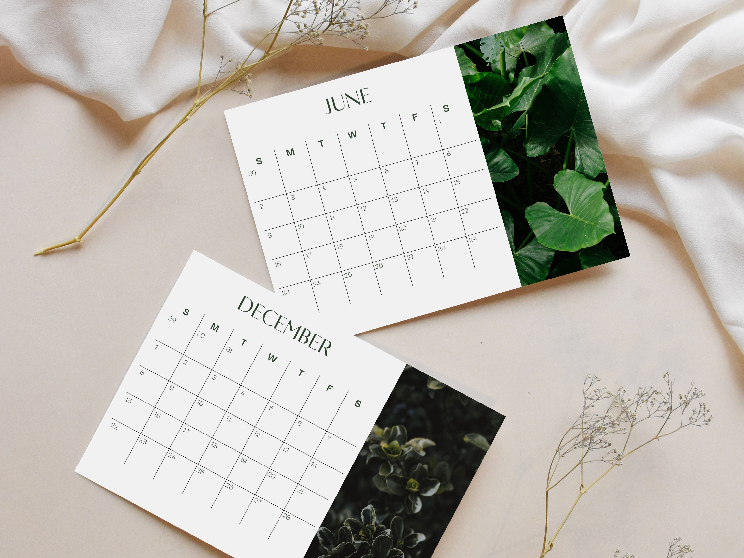 Plant Inspired Printable Calendar 2024 | Fully Editable Monthly Planner ...