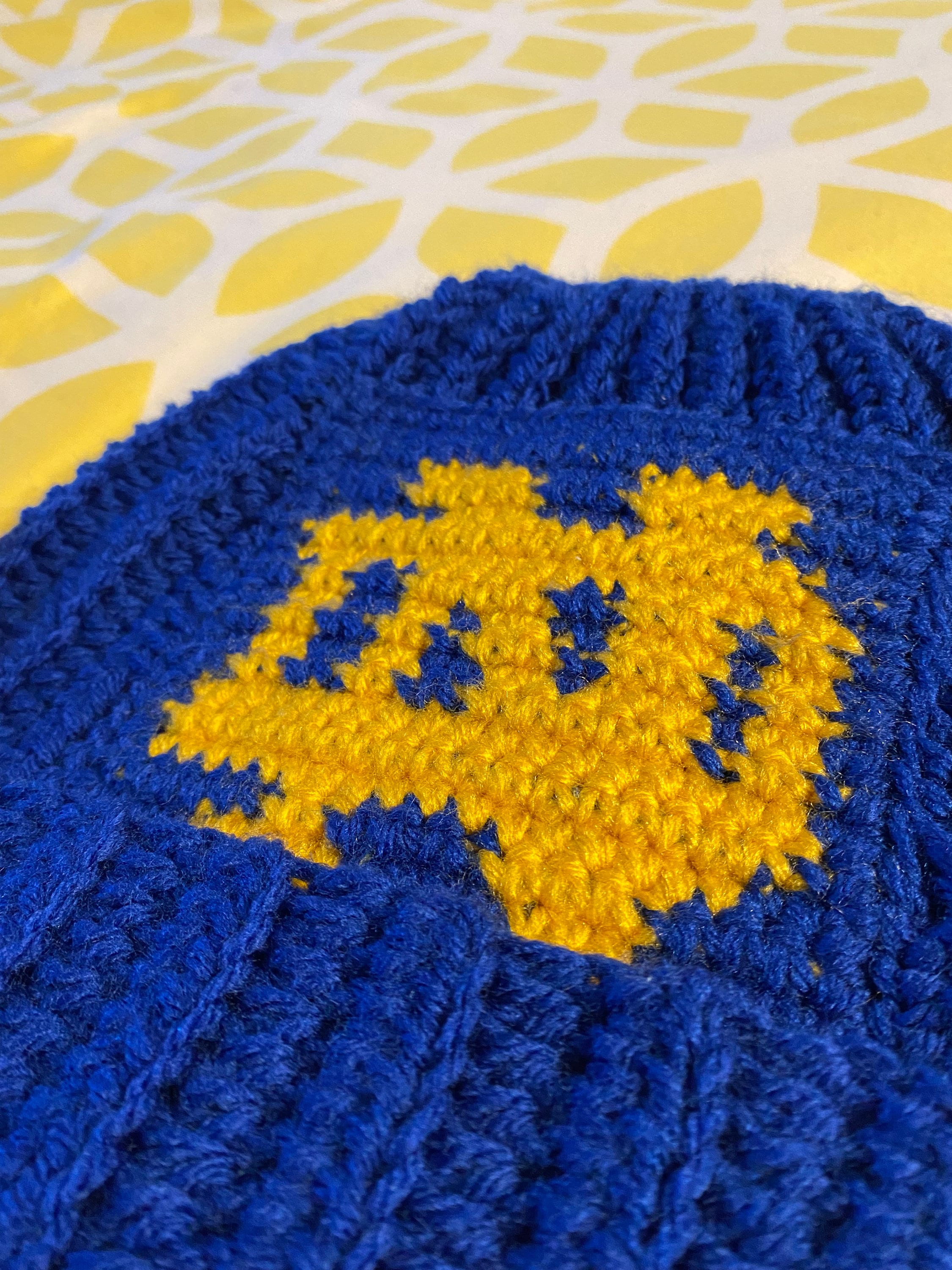 Adult Notre Dame Crochet Beanie - Etsy