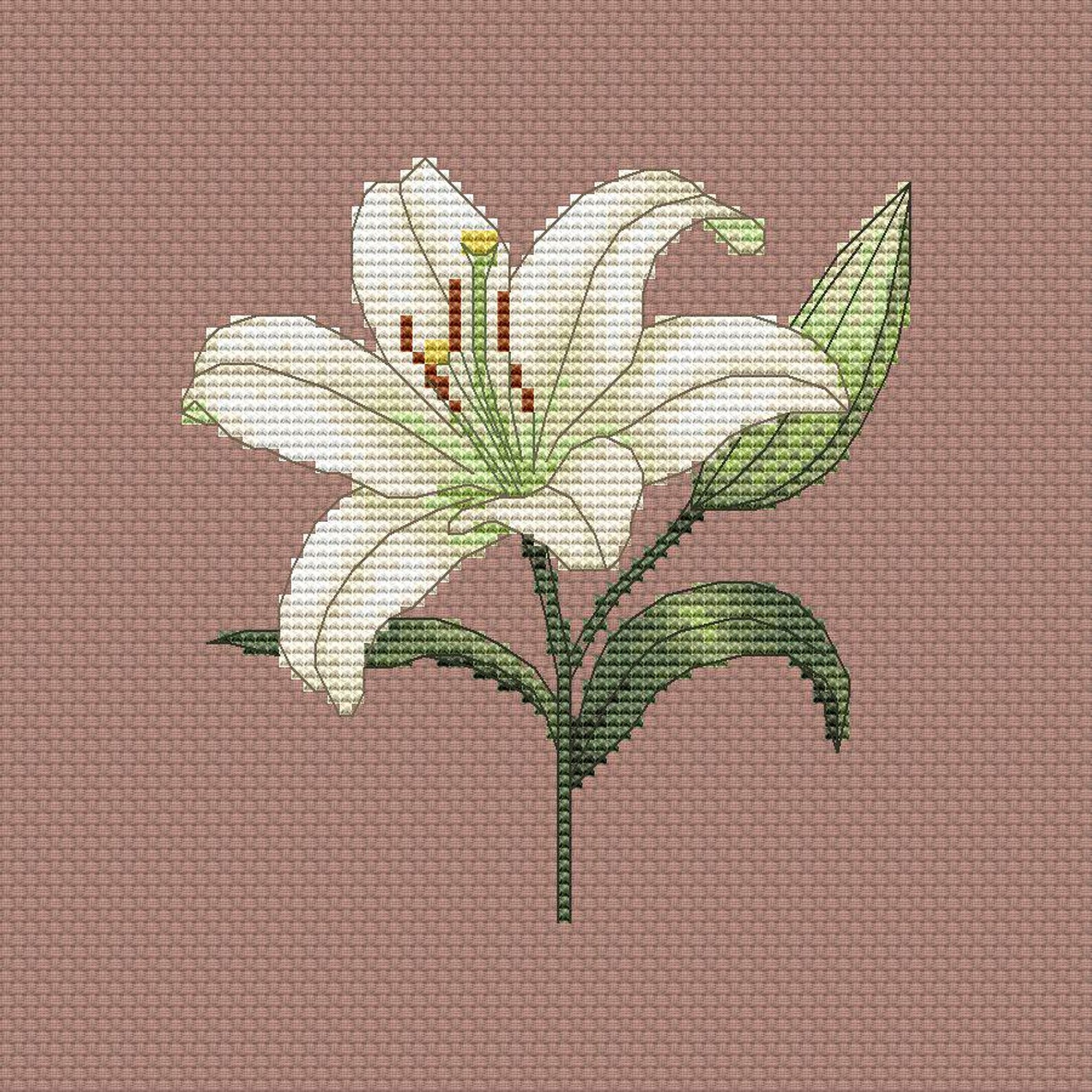 Lily Cross Stitch Pattern, Spring Flower Counted Cross-stitch Design ...