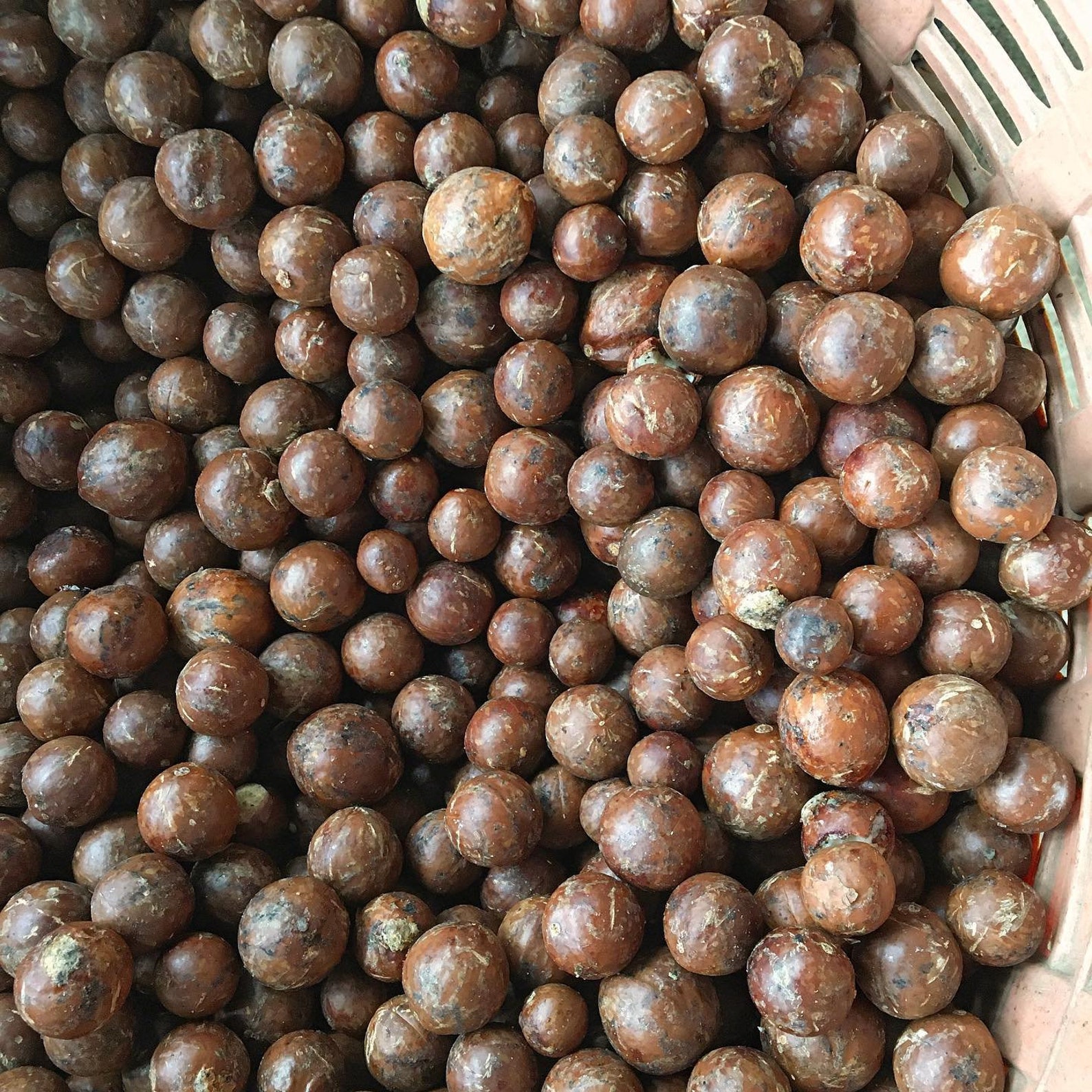 Clean Macadamia Spread NUTTY CRUNCH 180g Vegan, Keto, Low Carb, Healthy ...