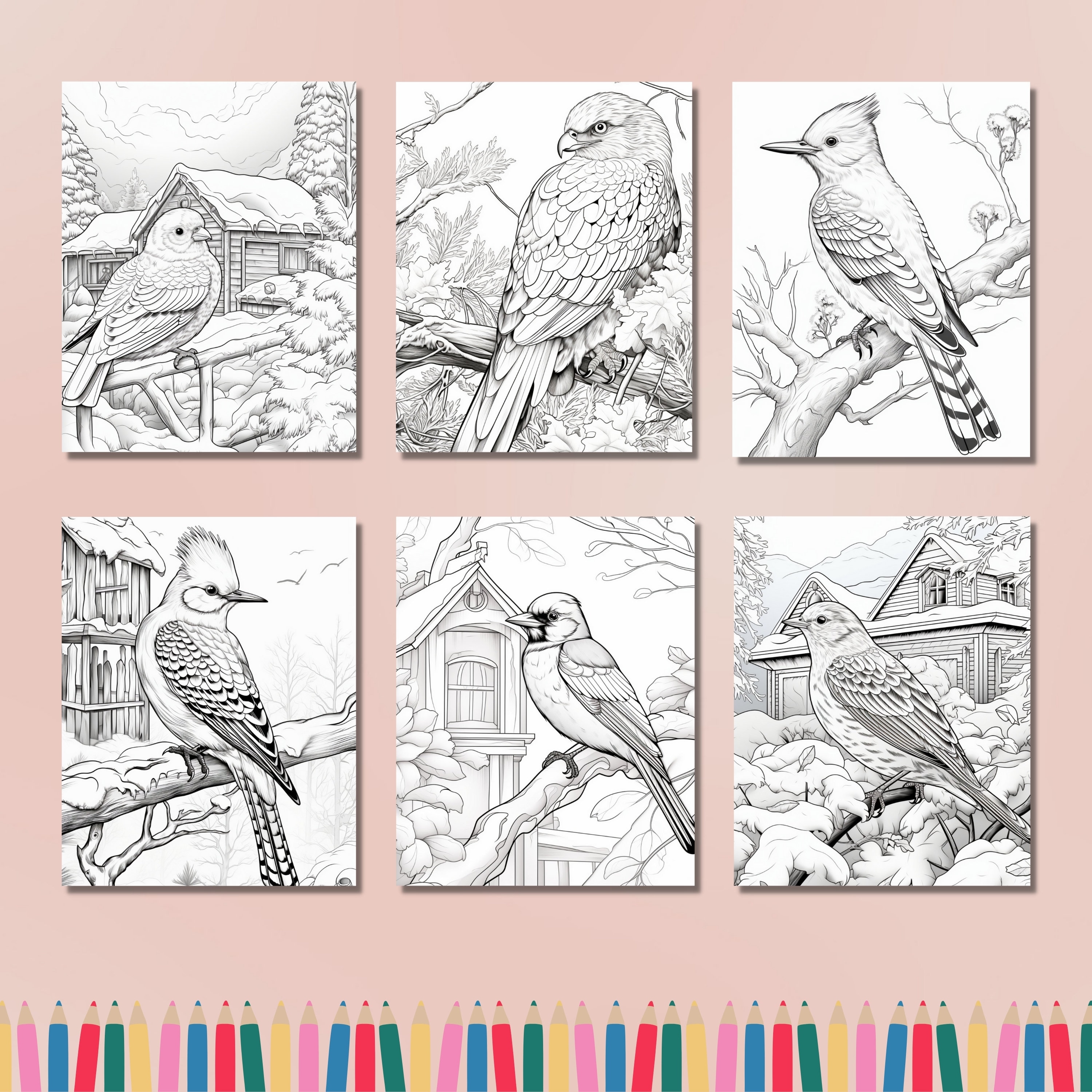 40 Winter Birds Coloring Pages, Grayscale, Coloring Sheets, Printable ...
