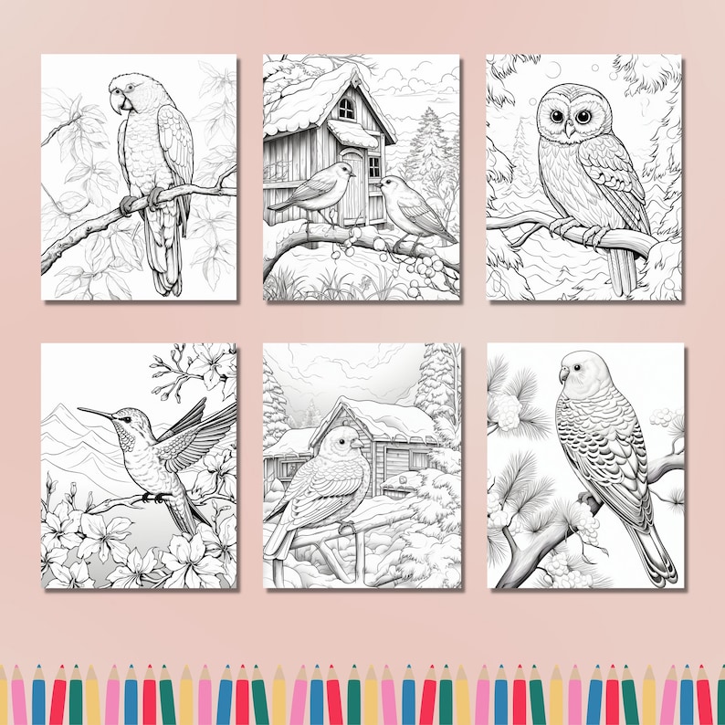 40 Winter Birds Coloring Pages, Grayscale, Coloring Sheets, Printable ...