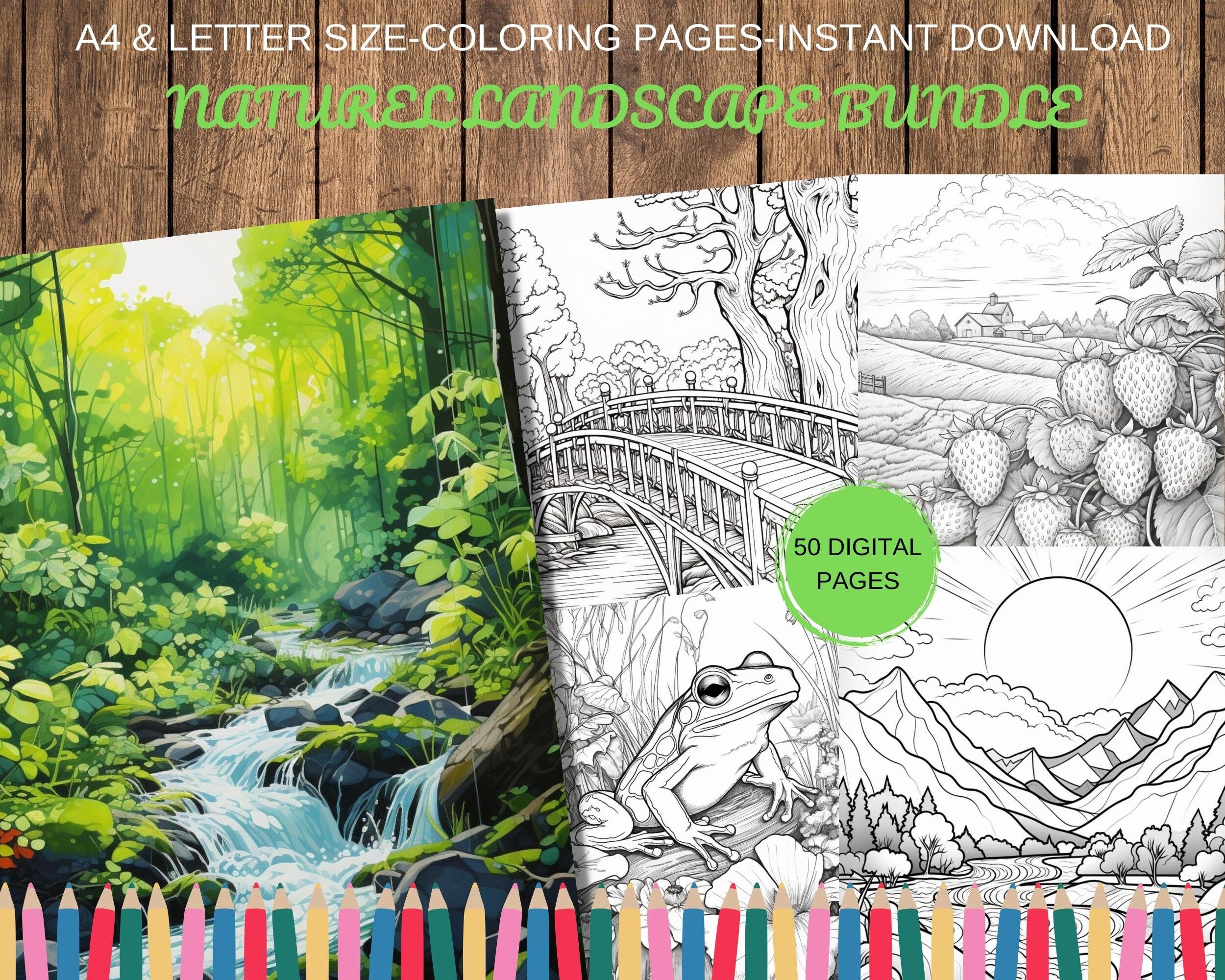 50 Nature Scenes Coloring Books, Nature Coloring Sheets - Printable PDF ...