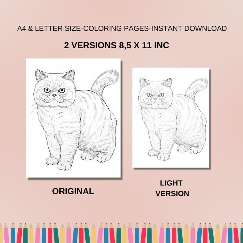 45 Cat Breeds Coloring Page Book, Adults and Kids- Instant Download ...