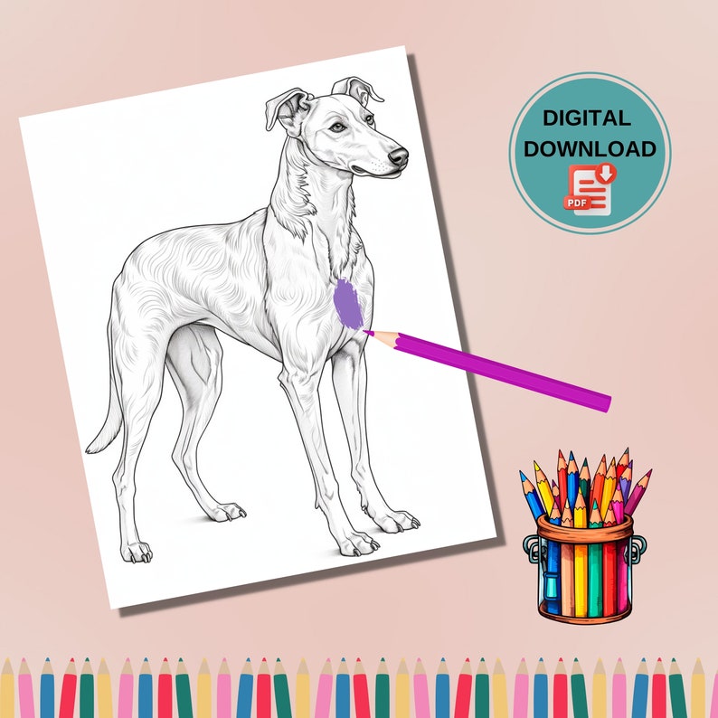 70 Dog Breeds Coloring Page Book, Adults and Kids Instant Download ...