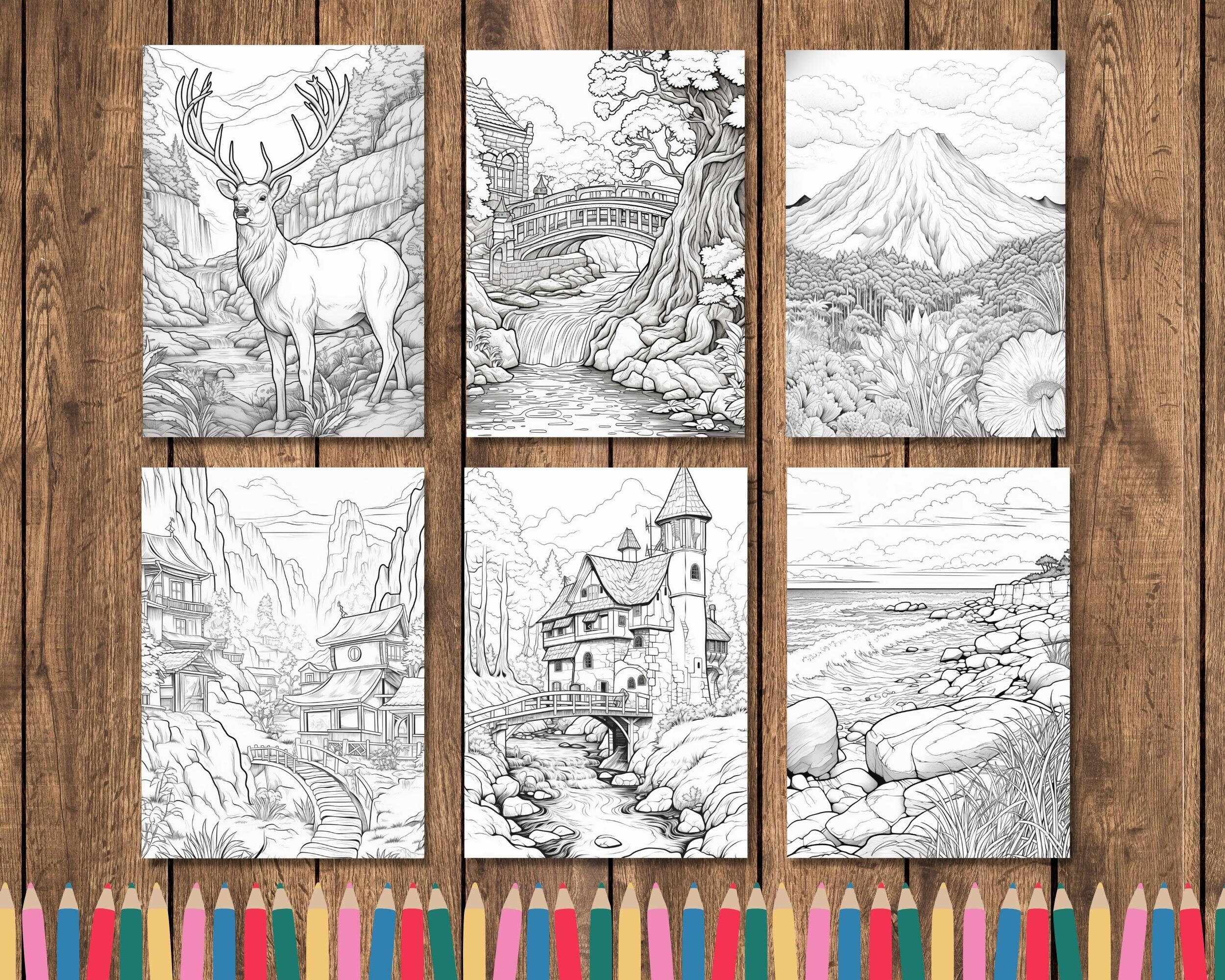 50 Nature Scenes Coloring Books, Nature Coloring Sheets Printable PDF ...