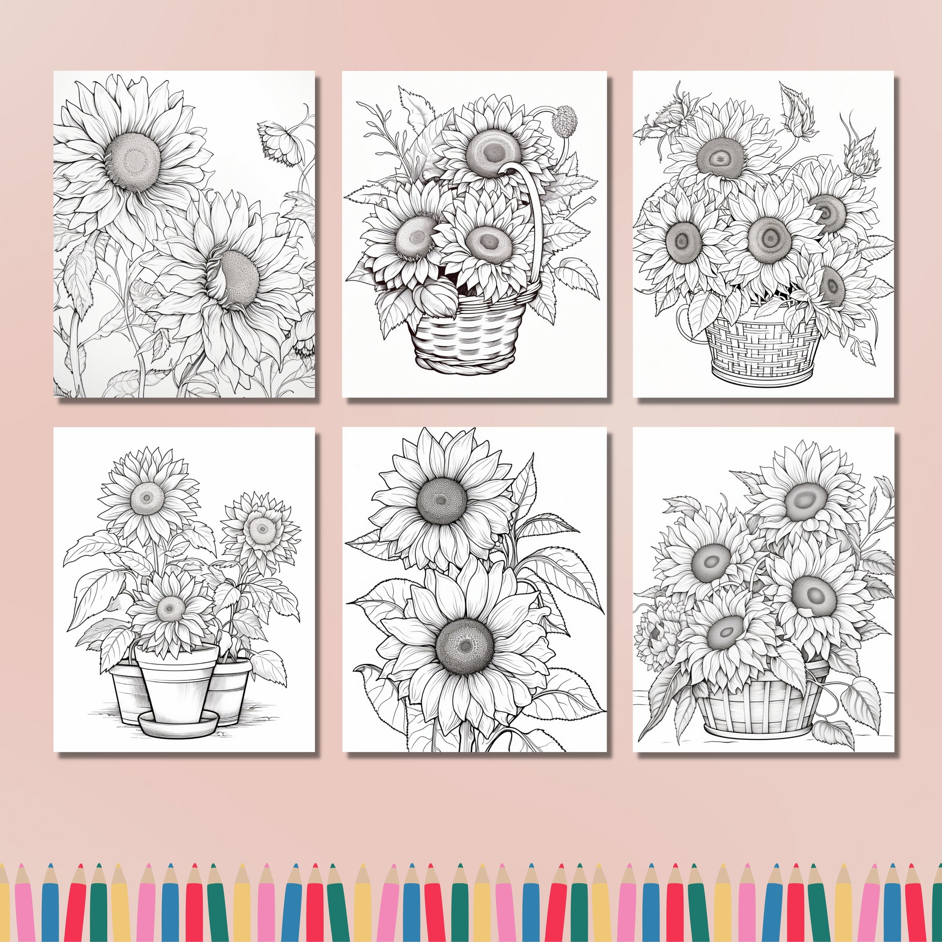 50 Sunflowers Coloring Book Pages, Botanical Floral Plant Coloring ...