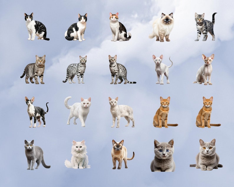 76 Cat Breeds Clipart Bundle Cats Clipart, Cats Clipart, Animals ...